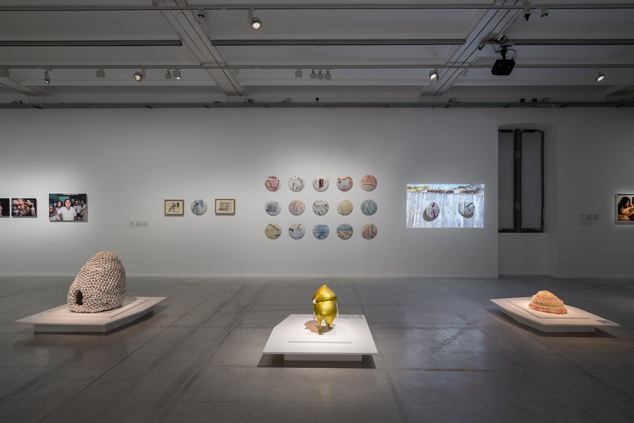 Forsaken garden · ANILA RUBIKU